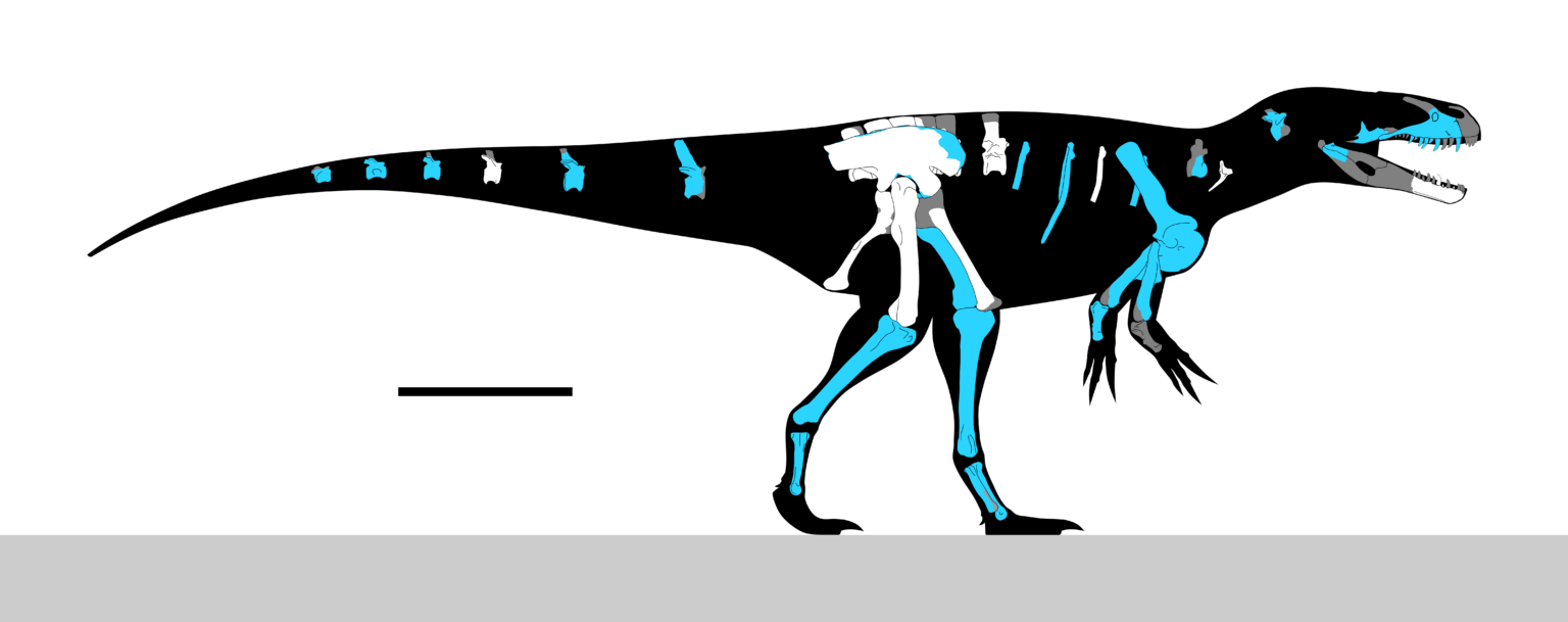 What Was the First Dinosaur Ever Discovered? – Dino World