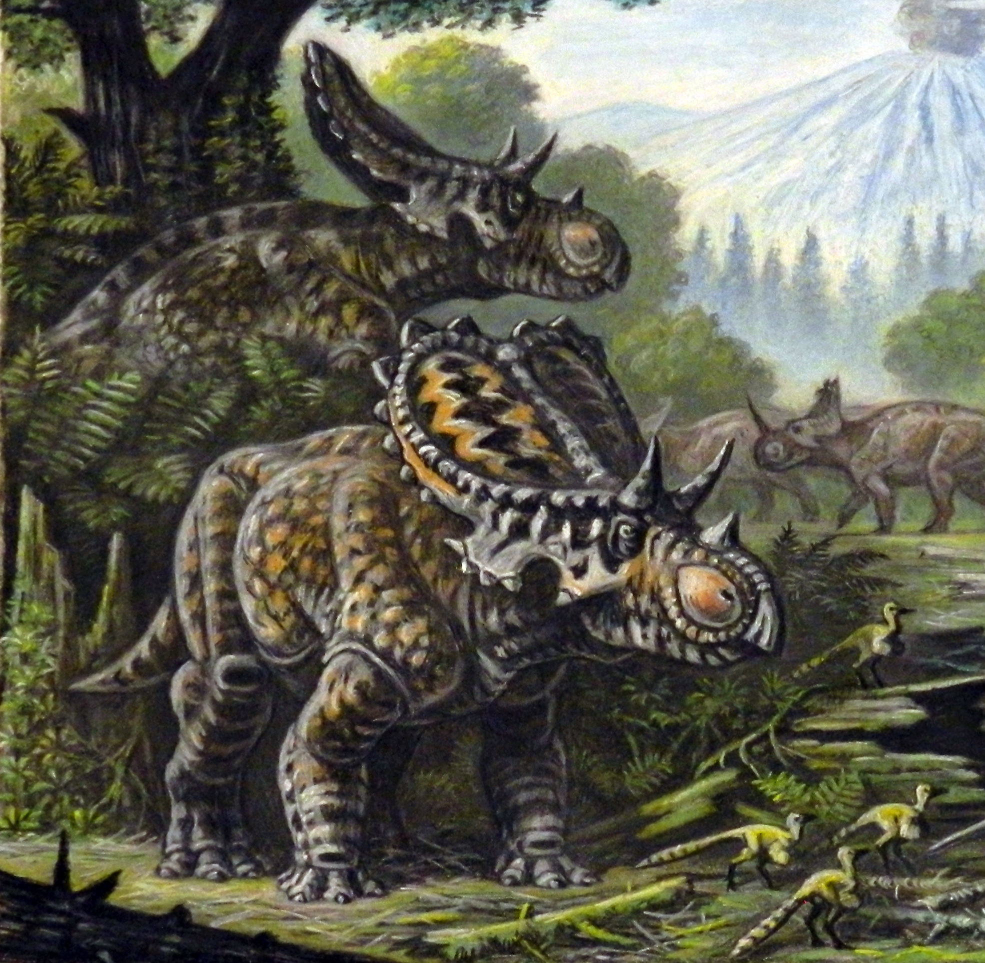 Chasmosaurus: The Frill-Faced Herbivore of the Canadian Badlands – Dino ...