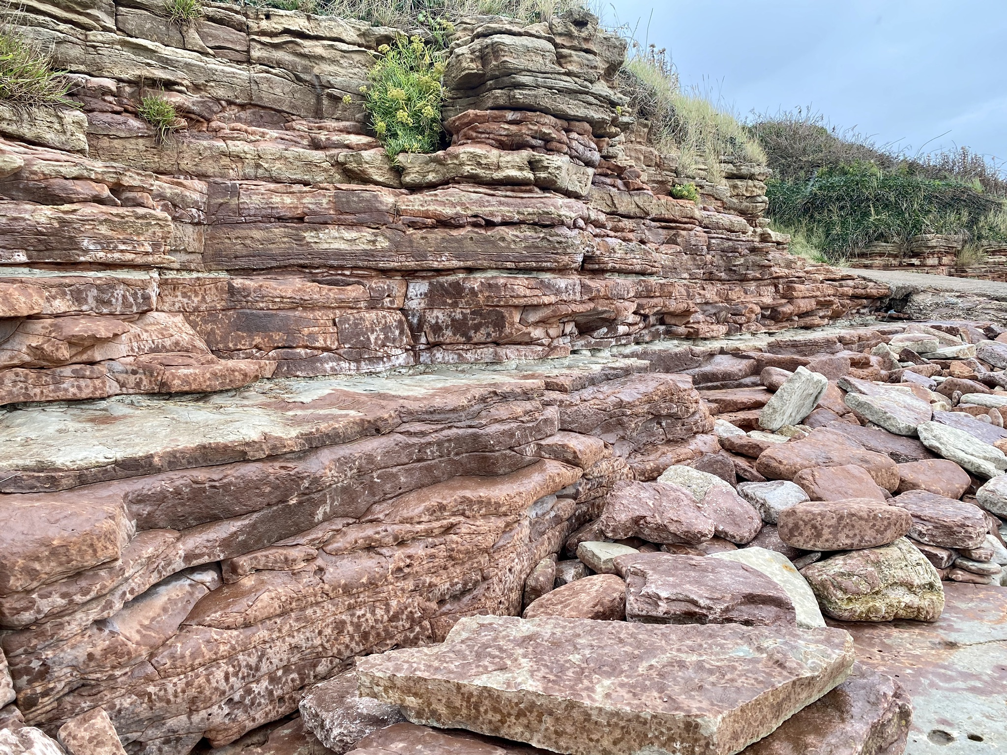 What the Rock Layers Tell Us About Earth’s Ancient Past – Dino World