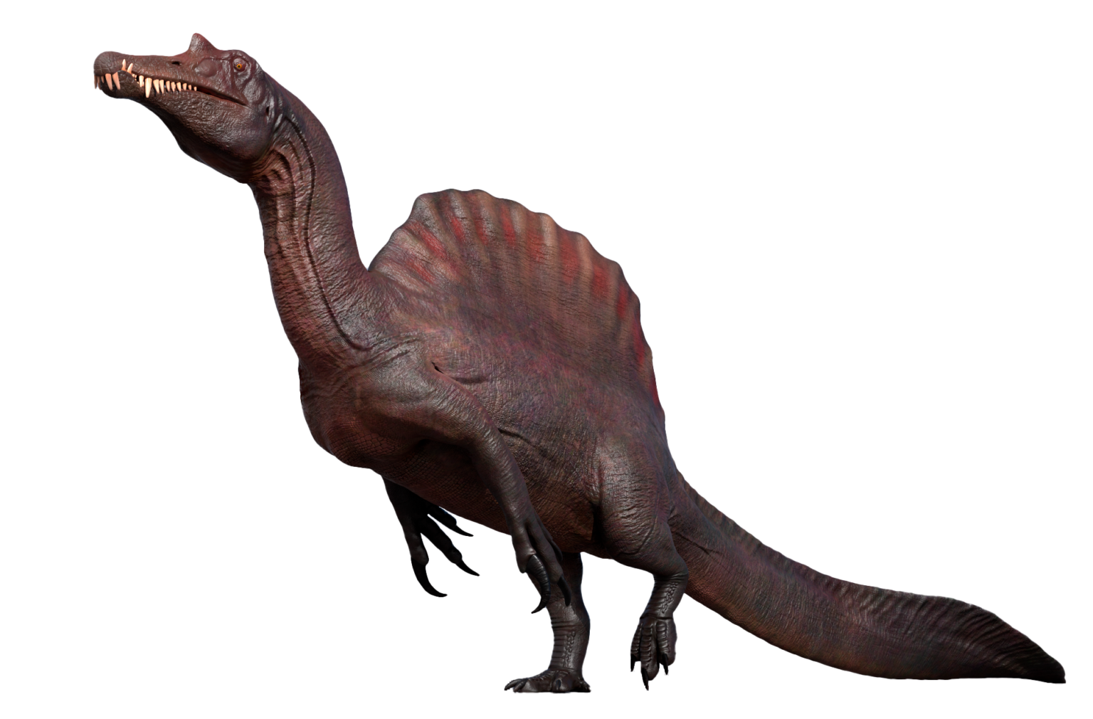 Is the Spinosaurus Aquatic? The Fossil Record Keeps Changing – Dino World