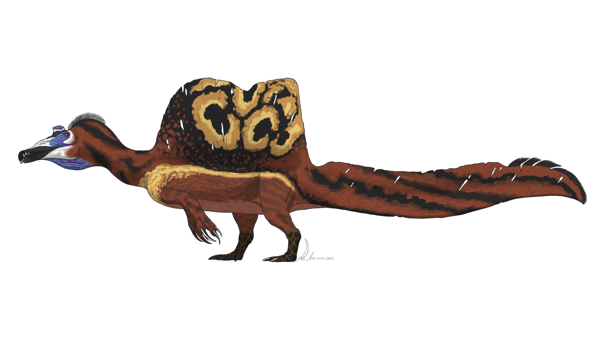 Spinosaurus Had a Crocodile’s Tail—And That Changes Everything – Dino World