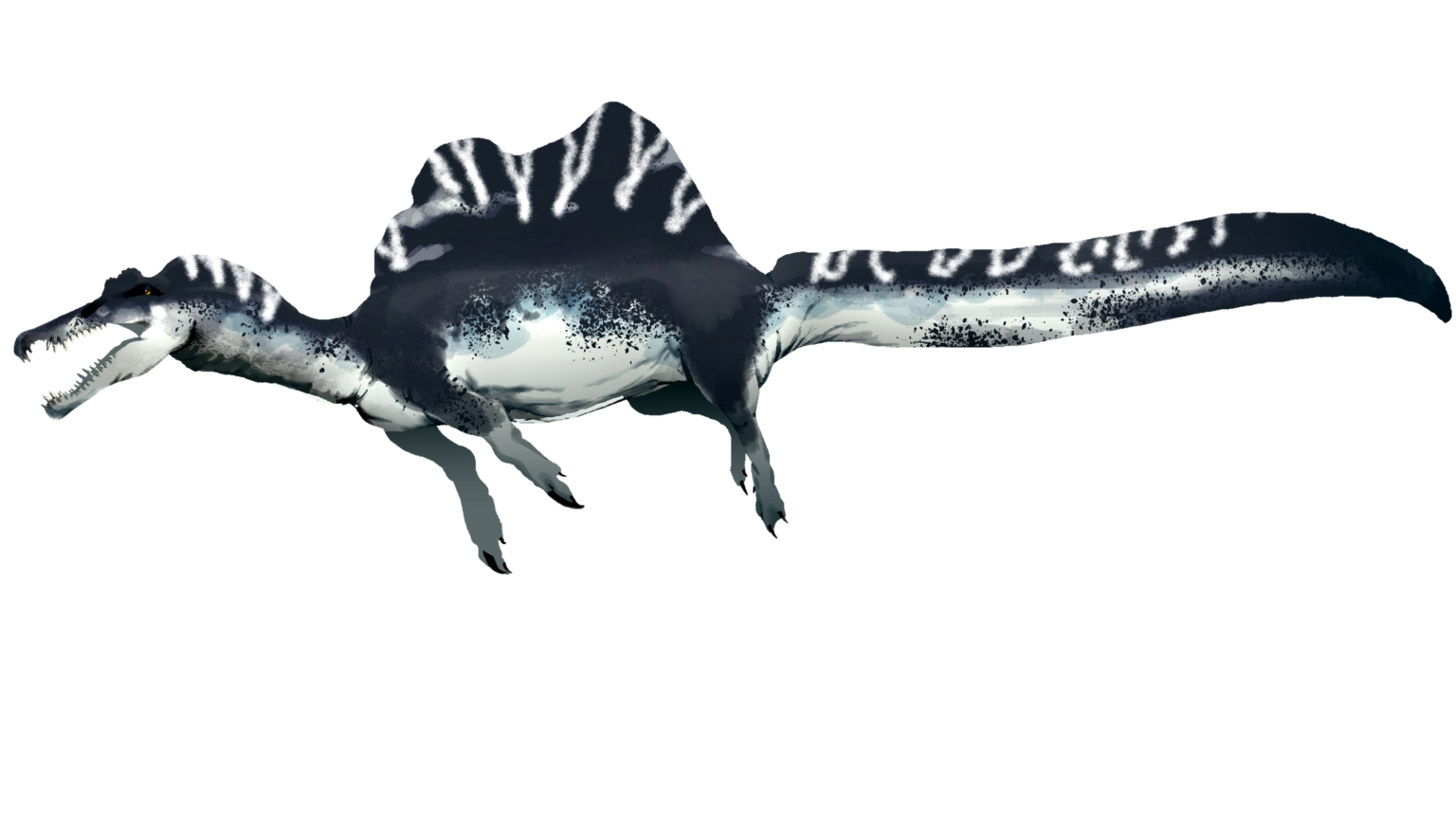 Is the Spinosaurus Aquatic? The Fossil Record Keeps Changing – Dino World