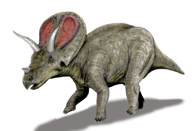 Torosaurus: The Ceratopsian With the Longest Skull in History – Dino World