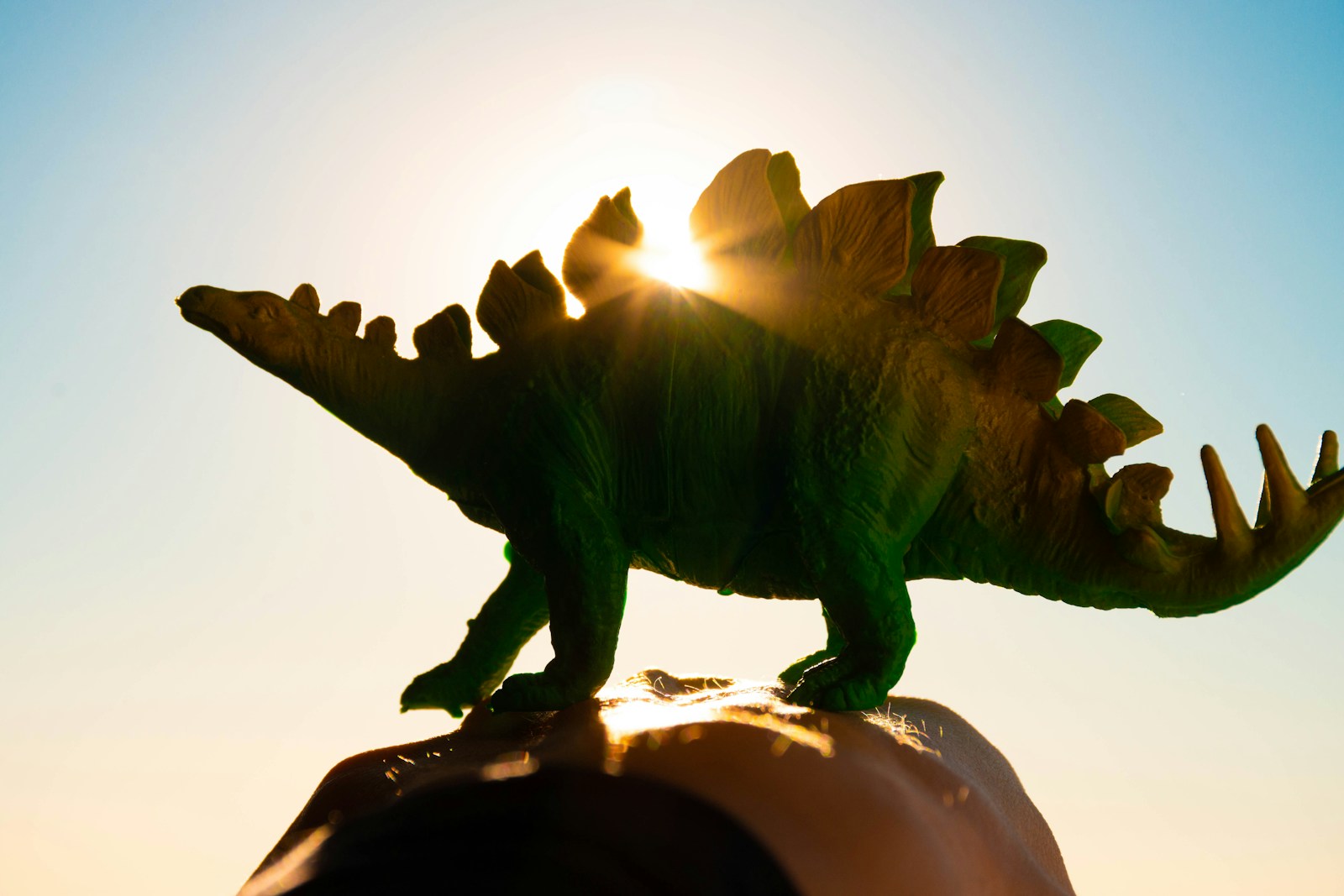 Why Some Dinosaurs Had Spiked Tails – The Secret of the Stegosaur ...