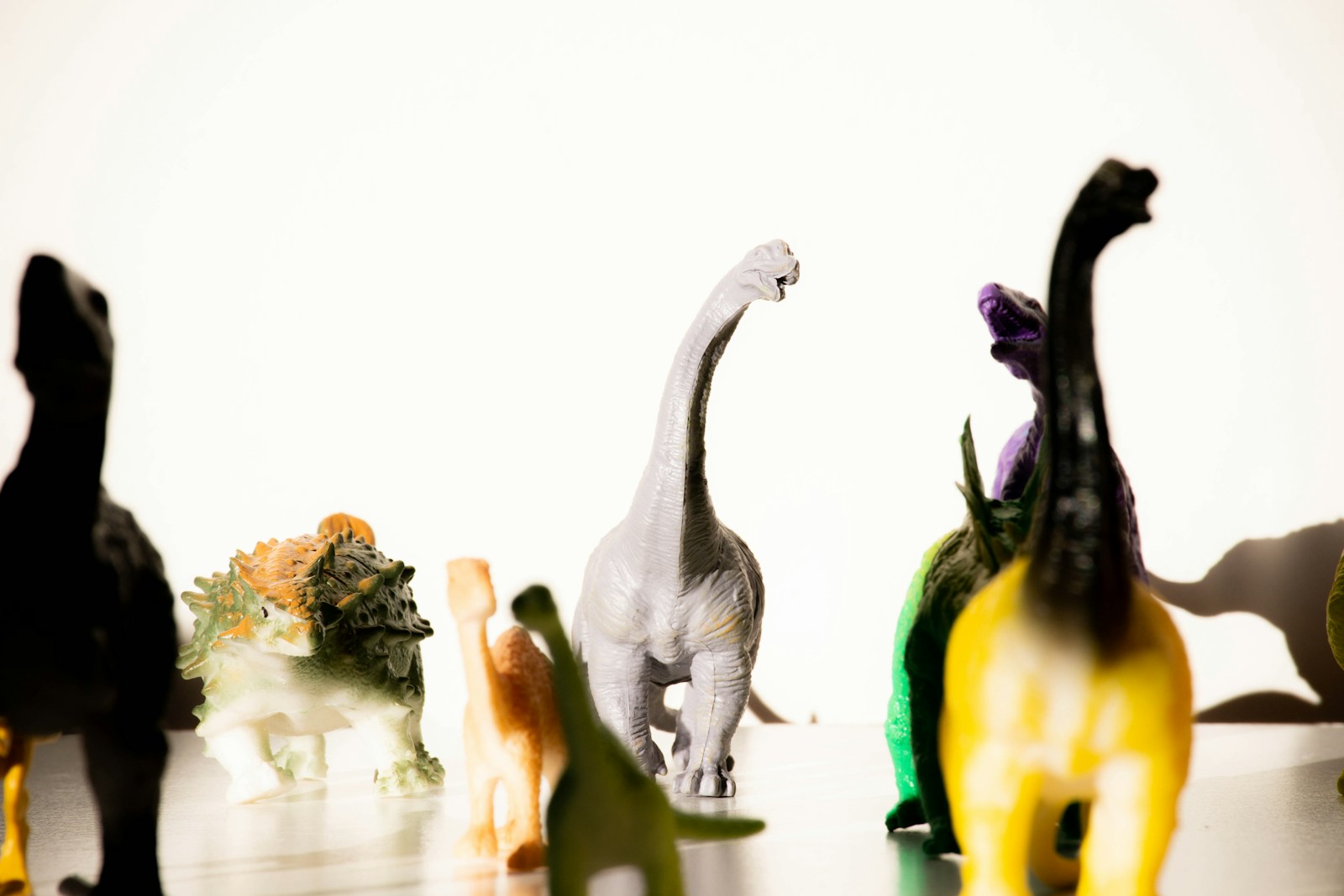 Brachiosaurus The High Browsing Giant With a Giraffe Like Neck – Dino World