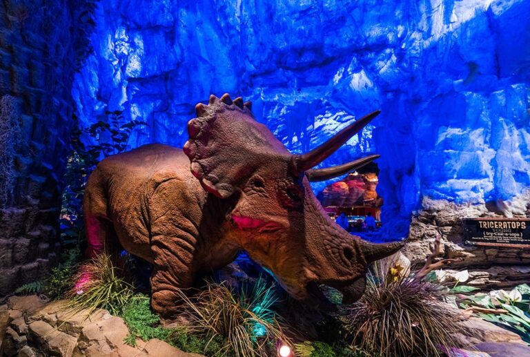 The Best Dinosaur Themed Restaurants and Cafes – Dino World