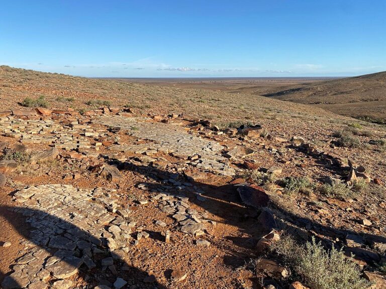 What the Gaps in the Fossil Record Really Mean – Dino World
