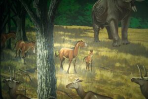 The Dawn Horse: How Tiny Creatures Became Modern Horses – Dino World