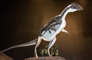 How Fossils Get Reconstructed Wrong (and Why It Still Happens) – Dino World