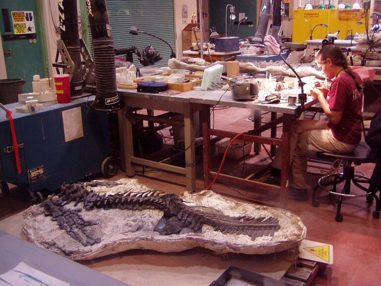 How Fossils Get Reconstructed Wrong (and Why It Still Happens) – Dino World