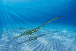 Tanystropheus: The Weirdest Long-Necked Reptile You’ve Never Heard Of ...