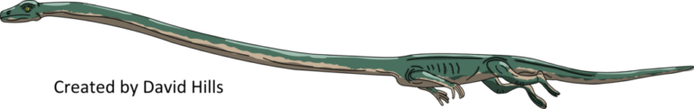 Tanystropheus: The Weirdest Long-Necked Reptile You’ve Never Heard Of ...