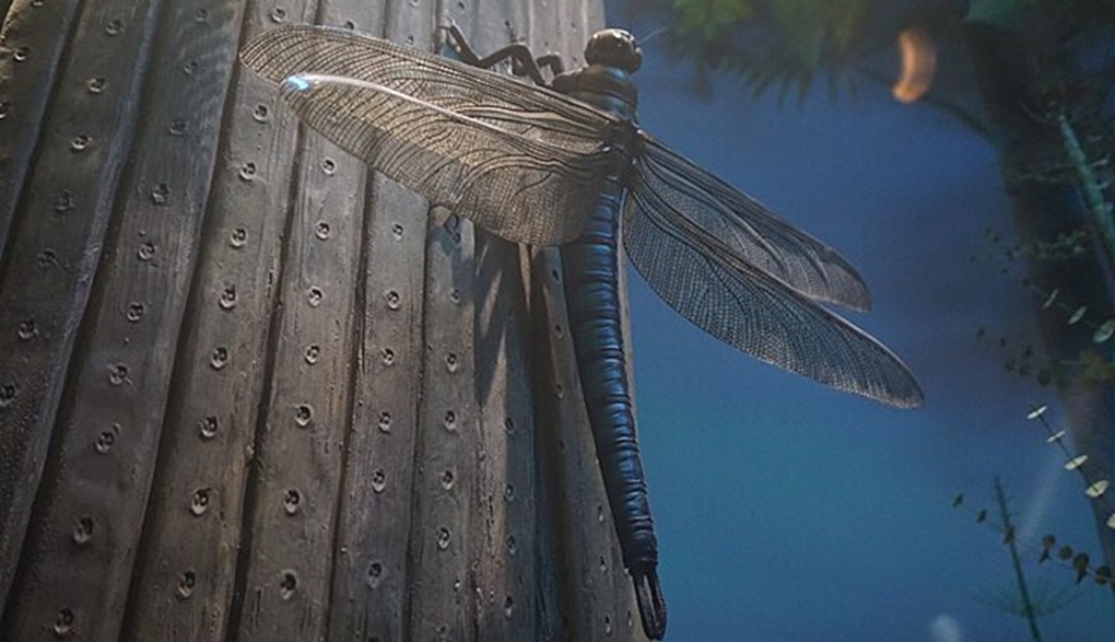 Tiny Wings, Big Role Insects in the Mesozoic Ecosystem – Dino World