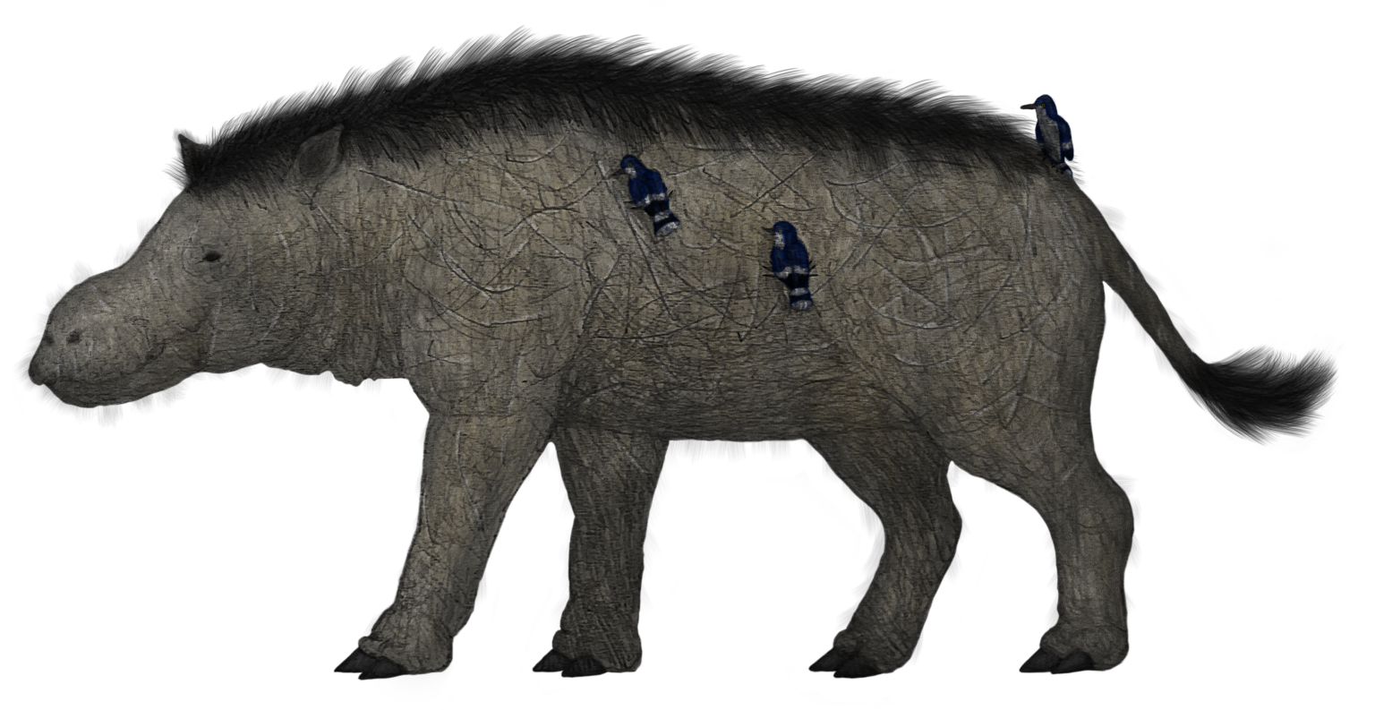 Andrewsarchus: The Wolf-Like Beast of Prehistoric Mongolia – Dino World