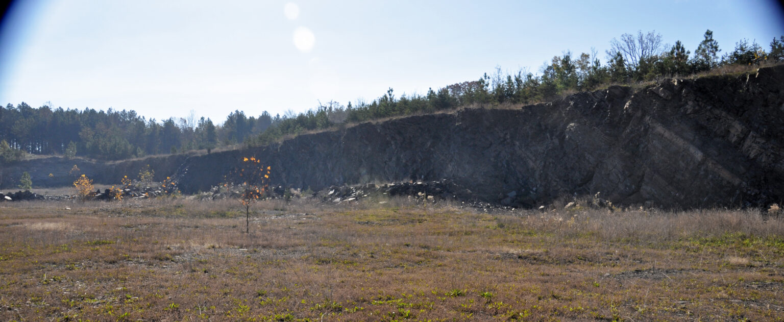 The Supercontinent Pangaea: Why It Mattered to Dinosaurs – Dino World