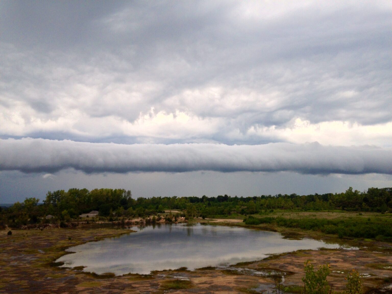 How Paleontologists Know Where to Dig for Dinosaur Fossils – Dino World
