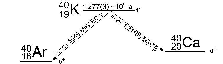 What Is Radiometric Dating and How Does It Work? – Dino World