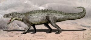 The Early Archosaurs: Dinosaur Ancestors You’ve Probably Never Heard Of ...