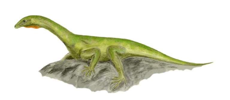 Tanystropheus: The Weirdest Long-Necked Reptile You’ve Never Heard Of ...