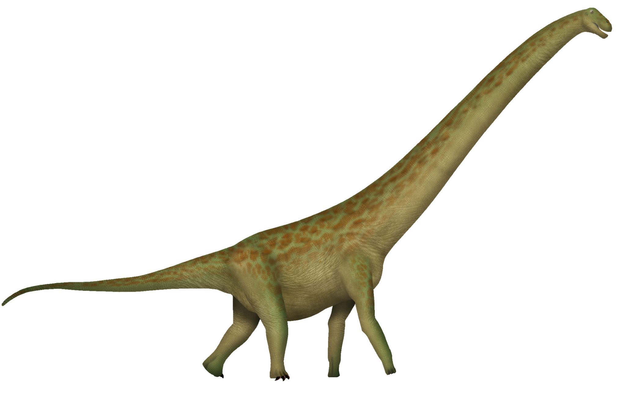 Biggest Dinosaurs Ever Discovered (And Where to See Them) – Dino World