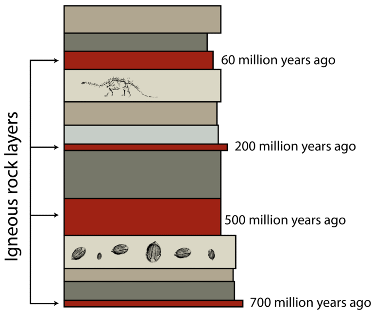 What Is Radiometric Dating and How Does It Work? – Dino World