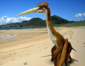 The Evolution of Bird Beaks From Raptors to Parakeets – Dino World