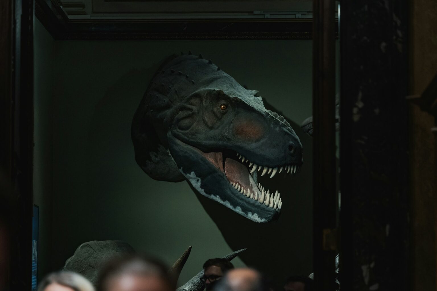 Jurassic Park vs. Reality: What the Movie Got Wrong About Dinosaurs ...
