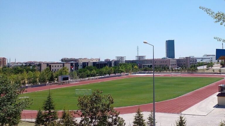 Would a Sauropod Fit in a Football Field? – Dino World