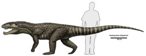 Postosuchus: The Croc-Like Reptile That Preyed Before the Dinosaurs ...