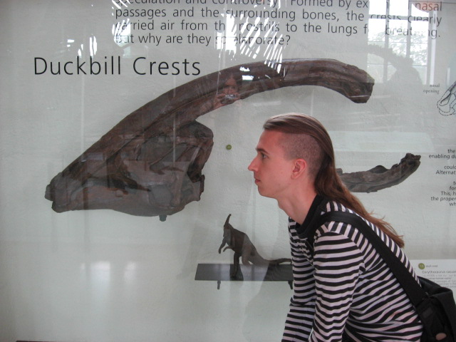 The Parasaurolophus Sound Debate: What Did That Crest Actually Do ...