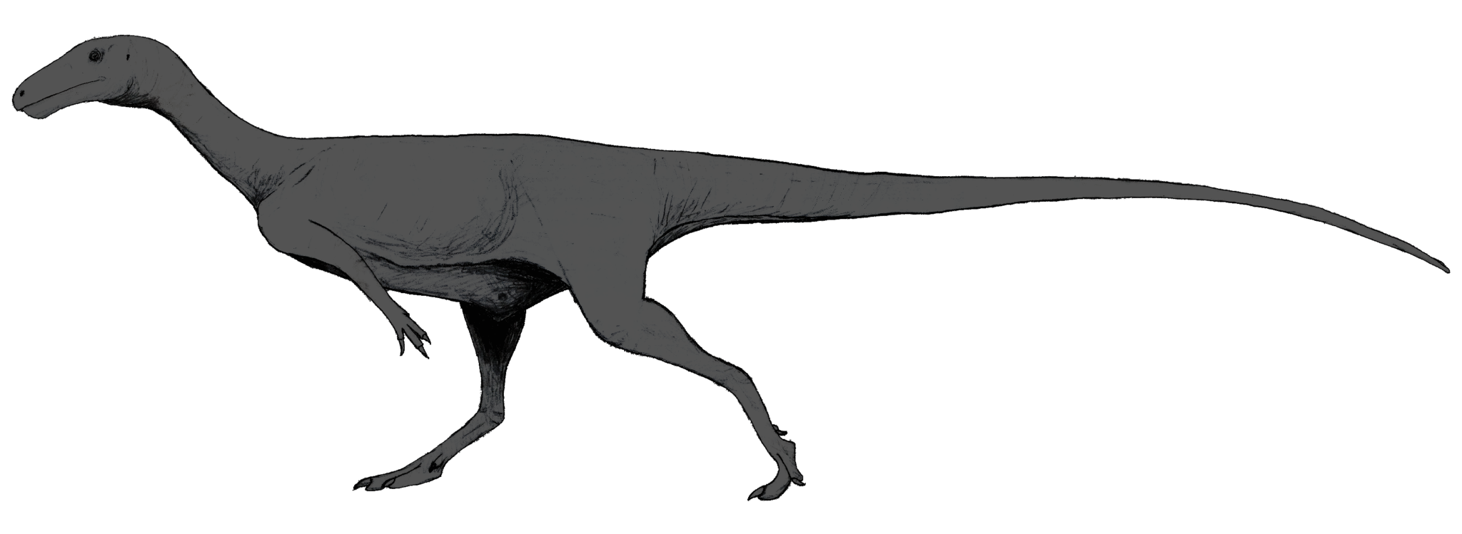 Masiakasaurus From Madagascar: The Dino With Forward-Pointing Teeth ...