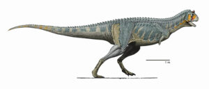Carnotaurus of Argentina: The Horned Meat-Eater With Baby Arms – Dino World