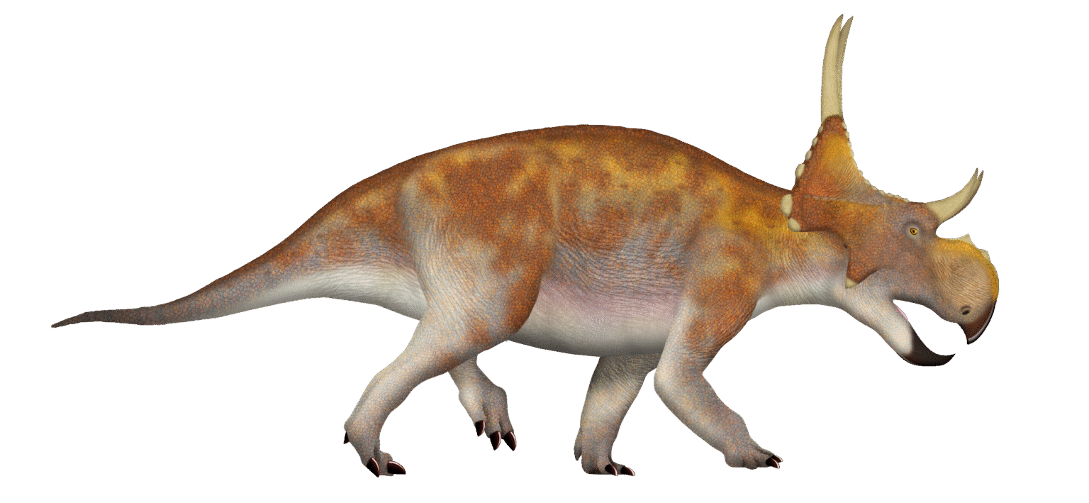 Diabloceratops: The Devil-Horned Dinosaur From the American Southwest ...