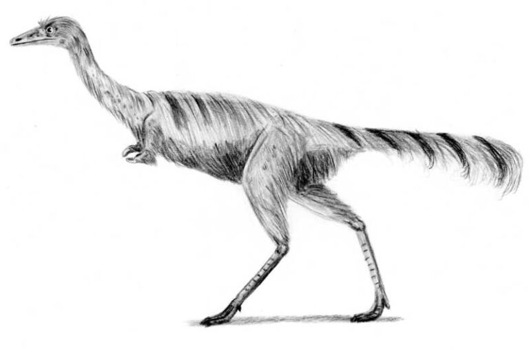 Mononykus: The Tiny-Armed Bug Hunter of the Mongolian Desert – Dino World