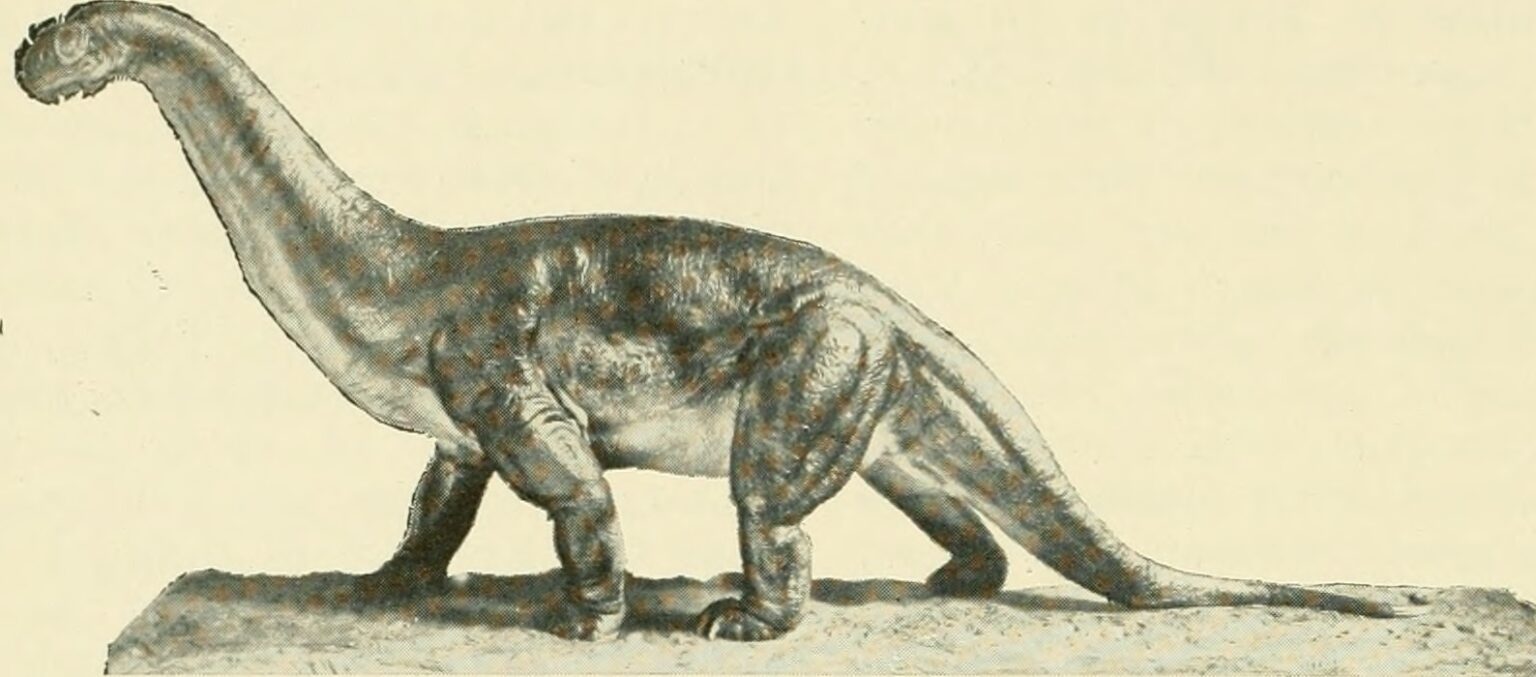 Bajadasaurus The Argentinian Sauropod With Neck Spikes Like a Medieval ...