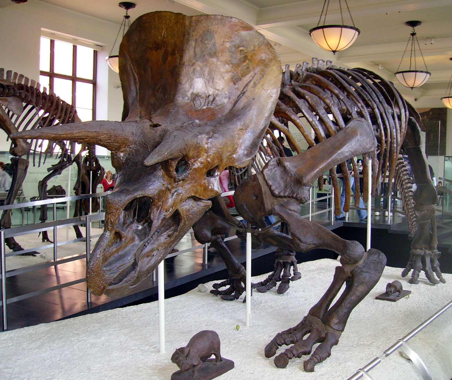 The Toothless Dinosaurs With Powerful Beaks – Dino World