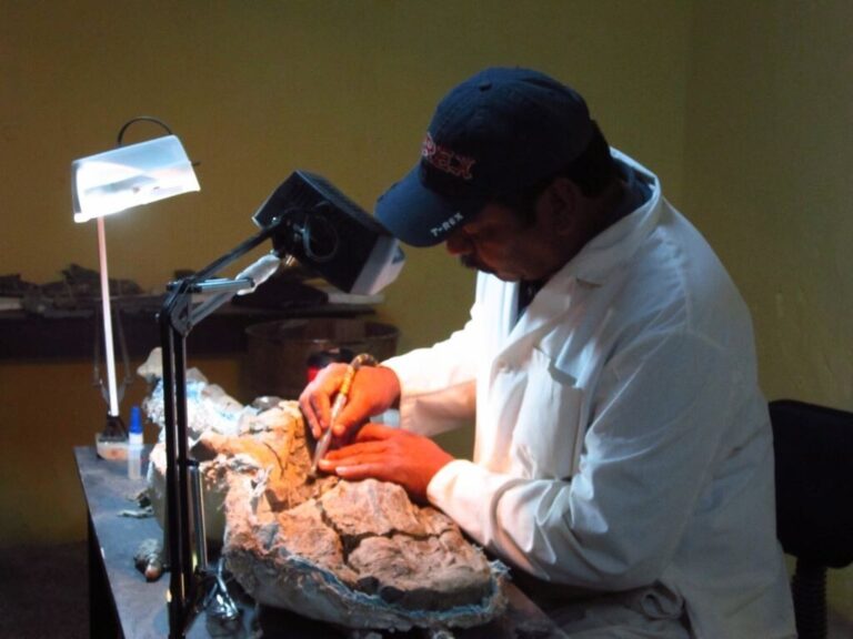 Stygimoloch: The Spiky-Skulled Oddball That Might Not Be Real – Dino World