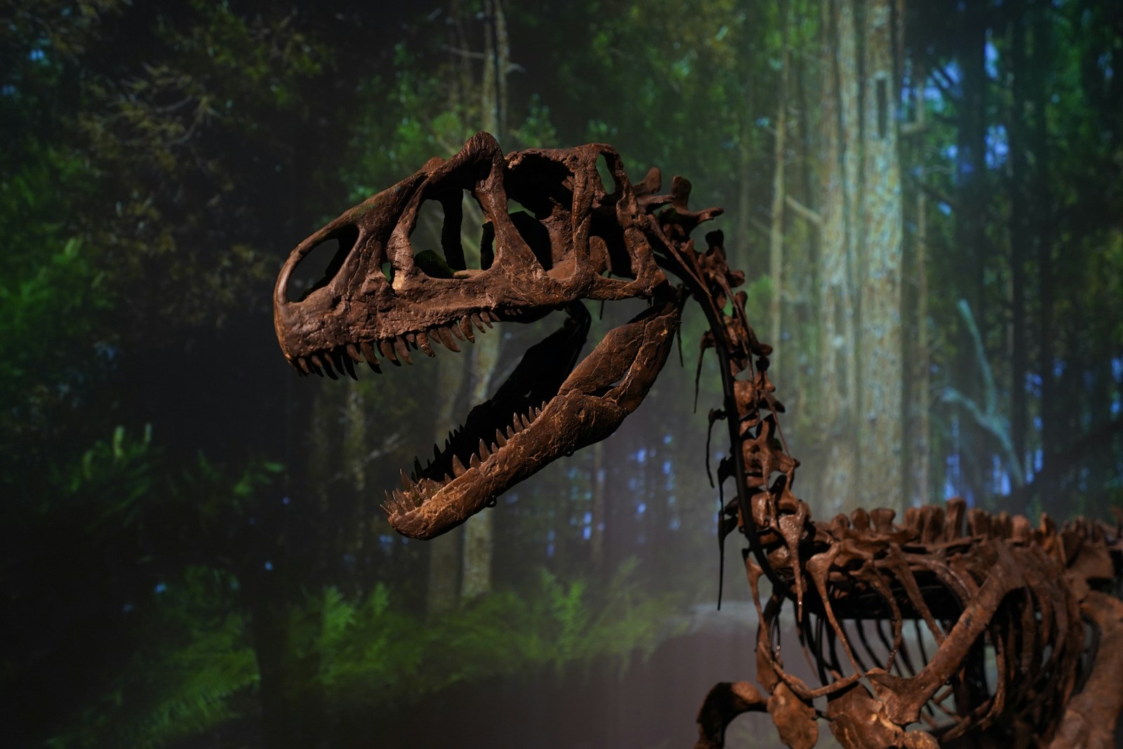 From Fossils to Theories: How Dinosaurs Shaped Modern Science – Dino World