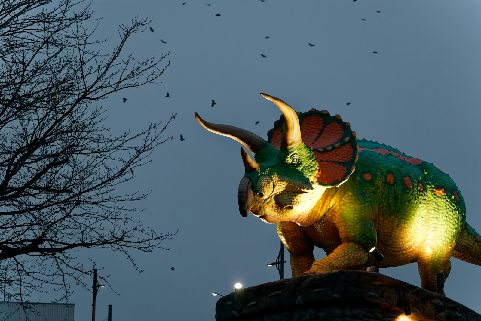 Triceratops horridus: The Iconic Horned Dinosaur of North America ...