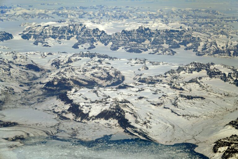 Were Any Dinosaurs Cold-Tolerant? How They Might Have Handled Snow ...