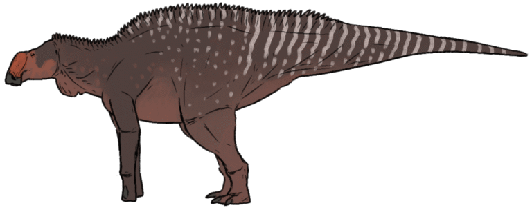 Rhinorex: The Hadrosaur With a Nose That’s Still Raising Eyebrows ...