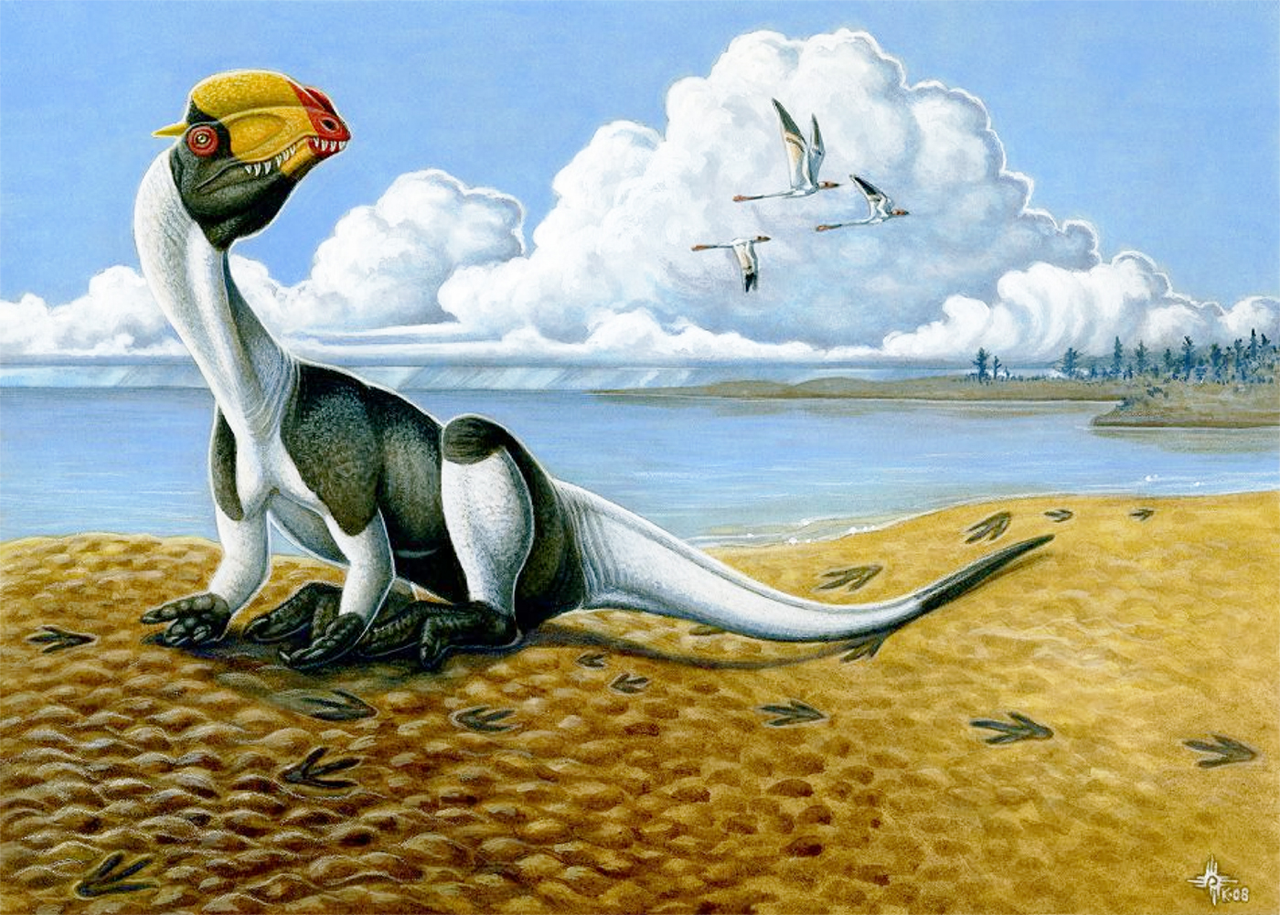 Dilophosaurus: The Double-Crested Predator That Hollywood Got All Wrong ...