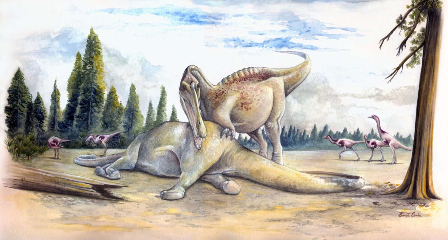 How Extinction Set the Stage for Dinosaurs—and Ended It – Dino World