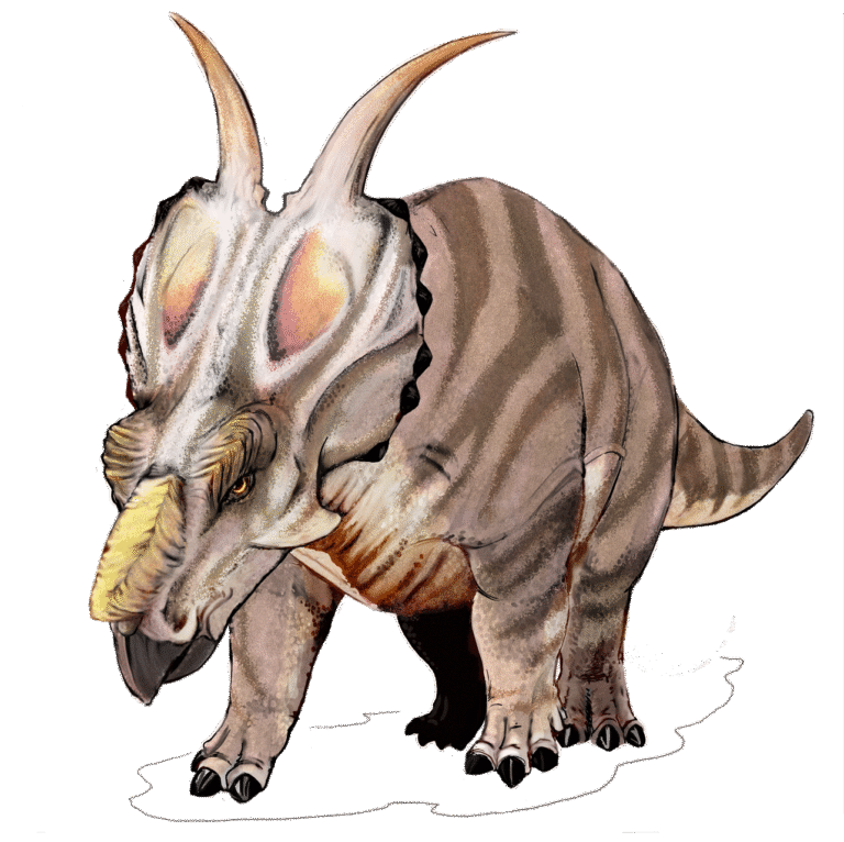 12 Dinosaurs With Horns, Crests, or Spikes – Dino World