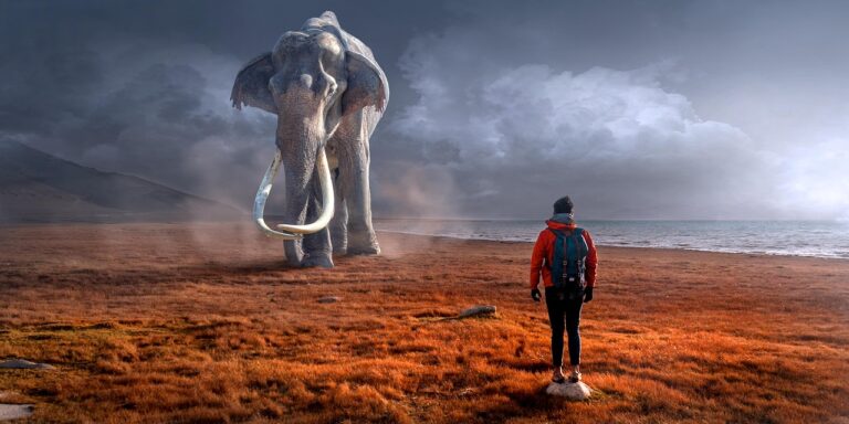 7 Ways To Spot Your Spirit Animal’s Influence In Your Dreams – Dino World