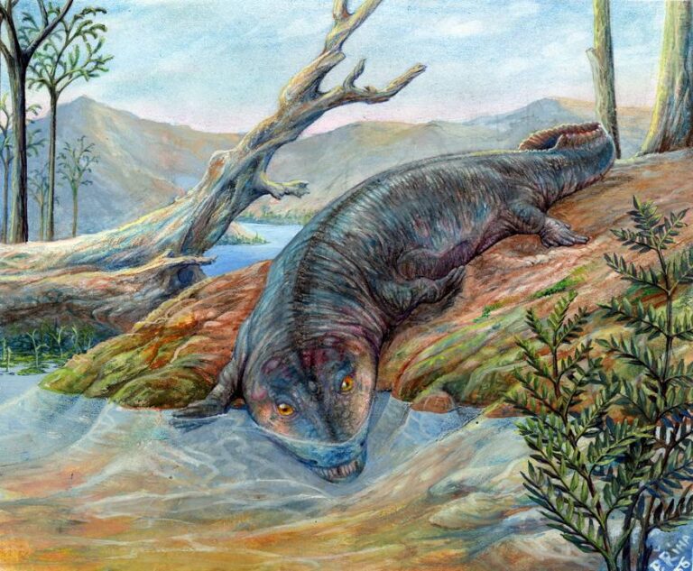 How Giant Amphibians Became Earth’s First Apex Predators – Dino World