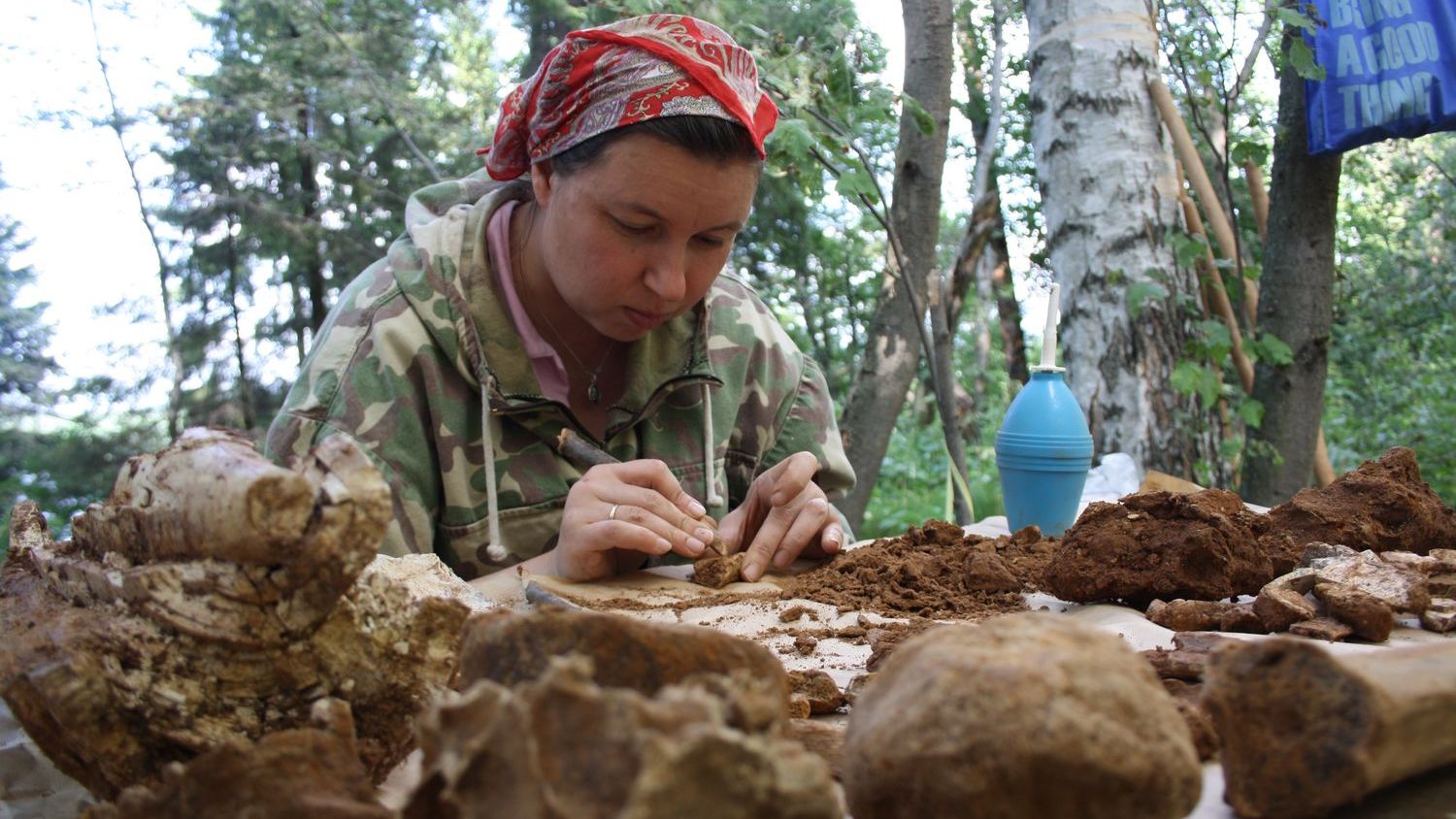 10 Signs You’re Secretly a Natural-Born Paleontologist – Dino World