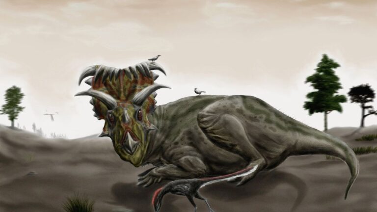 The Forgotten Giants: Why American Dinosaurs Were Uniquely Adapted ...