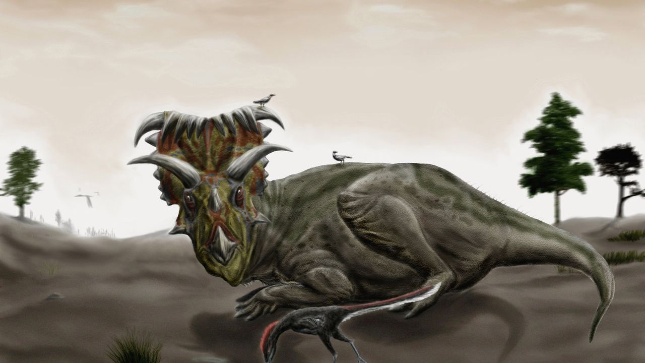 The Forgotten Giants: Why American Dinosaurs Were Uniquely Adapted ...