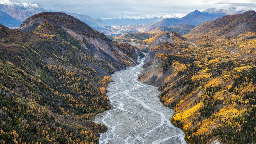 Ancient Echoes: How Prehistoric Ecosystems Still Shape American ...